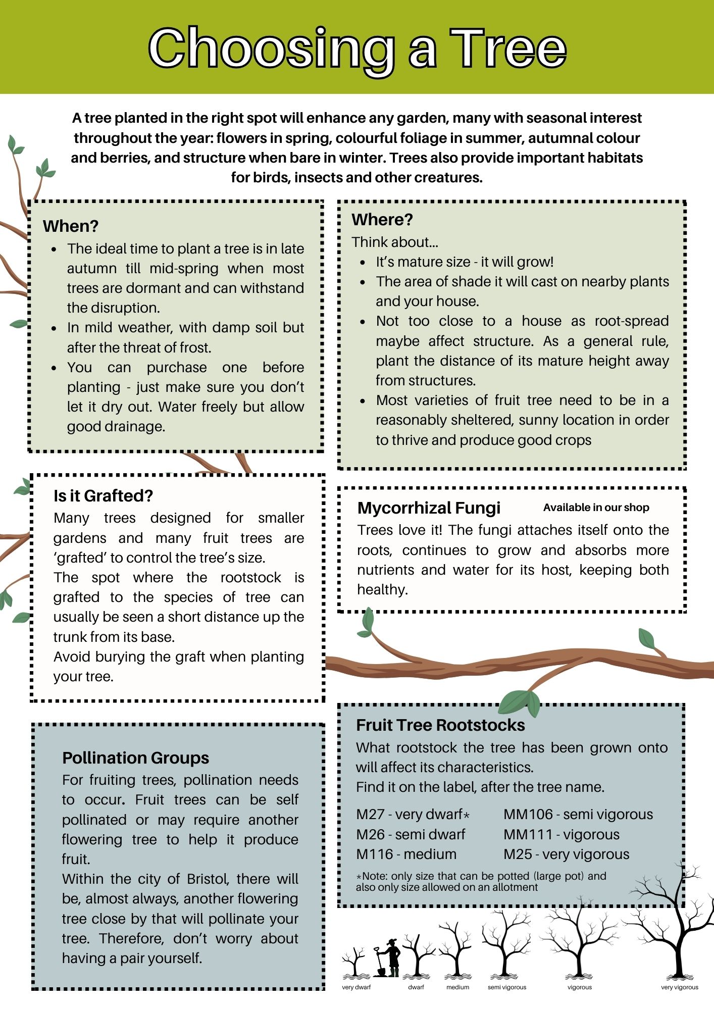 Choosing An Planting A Tree